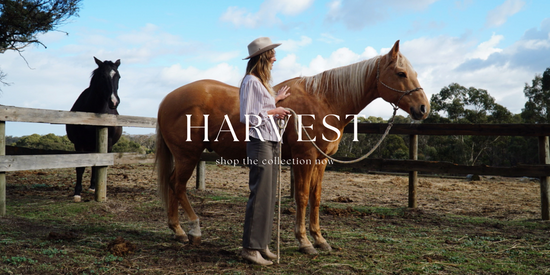 Limoni – Limoni The Label